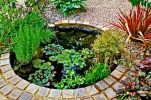15 Small Backyard Pond Ideas - Water Garden Advice