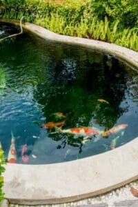 8 Stunning Garden Pond Shapes - Water Garden Advice
