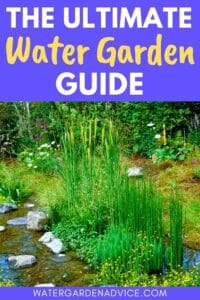 Water Gardens - The Ultimate Guide - Water Garden Advice