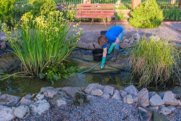 How to Make Pond Cleaning Easier - Water Garden Advice